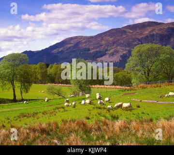 Scotland, Scottish Highlands, Glen Gloy. Single track mountain road ...