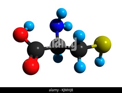 Cysteine (l-cysteine, Cys, C) amino acid molecule. Skeletal formula ...