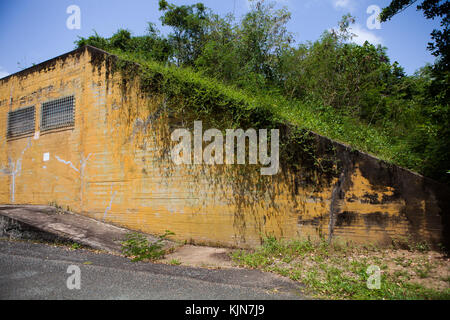 Old Navy bunkers, Vieques, Puerto Rico Stock Photo - Alamy