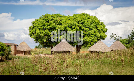 Typical village of mud brick and thatched roof huts in the green ...