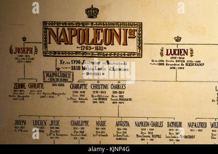 Corsica: the family tree of Napoleon Bonaparte at the Maison Bonaparte ...