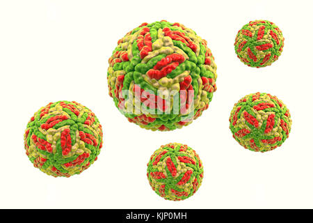 Powassan virus particles, computer illustration. This virus is a human ...