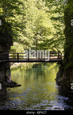 Vintgar gorge and wooden path near Bled, Slovenia.Europe Stock Photo ...
