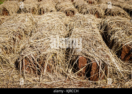 Brick-making in Rwanda Stock Photo - Alamy