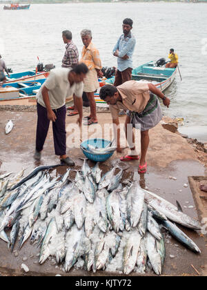Kerala, India - Cochin. Fisherman selling fish Stock Photo - Alamy