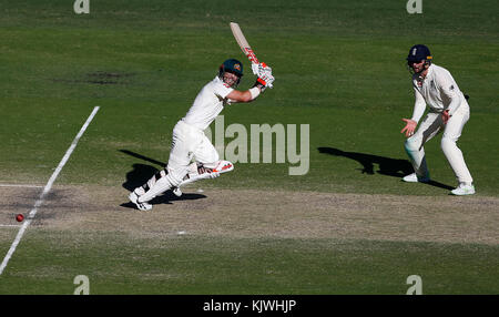 Australia's David Warner plays a shot during the Cricket Twenty20 World ...