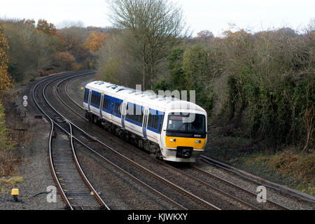 Chiltern Railways class 165 train passing lineside flowers, King`s ...