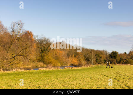 Hemingford Grey Meadow and the Great Ouse river, Cambridgeshire ...