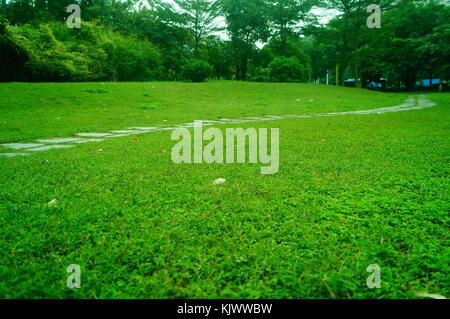Wide green lawn, quiet, beautiful Stock Photo - Alamy