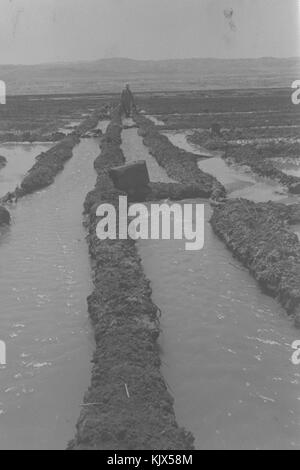 Water from a flooded river cover a delta land. Wooden barns on the ...