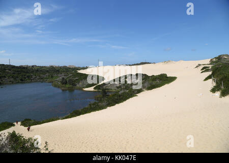 Cronulla Sand Dunes in Kurnell with the newly built suburb of ...