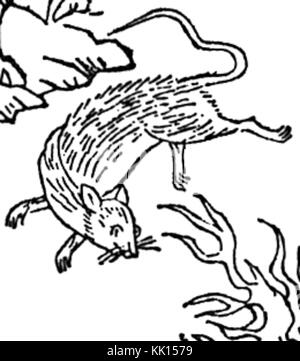 The 'Wakan Sansai Zue' is a Japanese illustrated guide, detailing ...