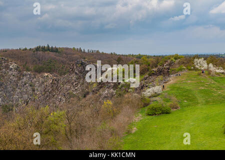 Rocks and Valley Divoka Sarka in Prague, spring time Stock Photo - Alamy