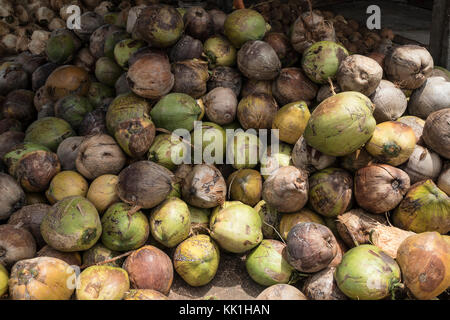 Coconut shells in Koh Samui, Thailand Stock Photo - Alamy