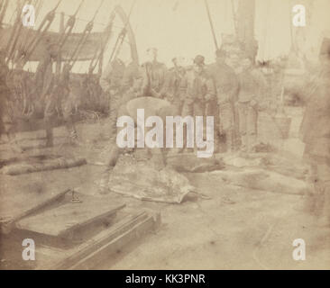 A photo documenting an unknown historical subject, preserved in this ...