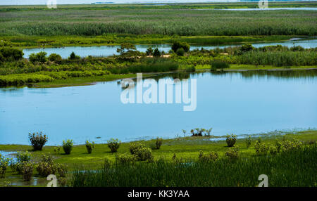 Blue marsh waters and green grasses abound in the Marshes Stock Photo ...