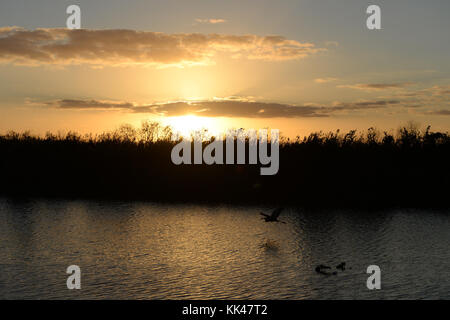 CORAL SPRINGS, FL - DECEMBER 31: General view of the last Sunset of ...