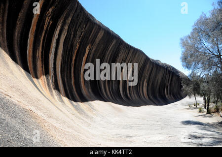 The flared slope of Wave Rock in Hyden, Western Australia. The black ...