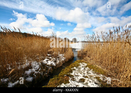 Iced lake in sun in denmark in winter Stock Photo - Alamy
