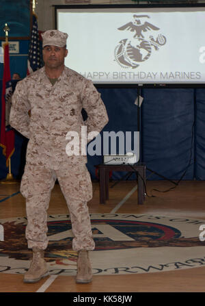 U.S. Marine Corps Capt. Tyler Millard, a pilot assigned to the Marine ...