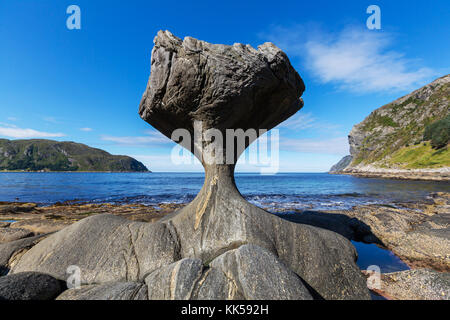 Stone tail in Norway Stock Photo - Alamy