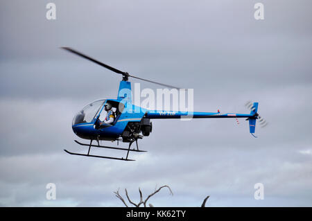 Mustering cattle with helicopter, Cattle station ranch, outback ...