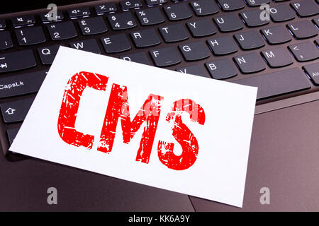 Writing CMS text made in the office close-up on laptop computer ...