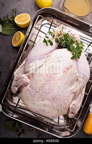 Overhead view of thanksgiving table roast turkey, vegetables and copy ...