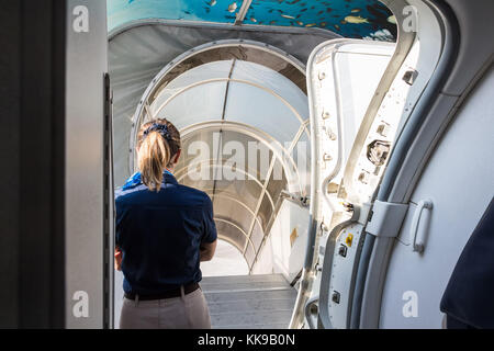 Boeing 777 airplane exit door Stock Photo - Alamy