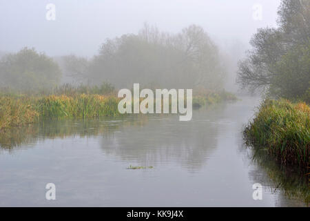 Autumn mist on the River Test Stock Photo - Alamy