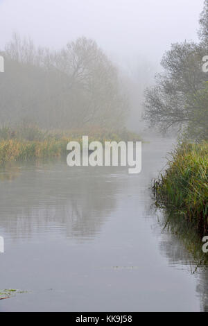Autumn mist on the River Test Stock Photo - Alamy