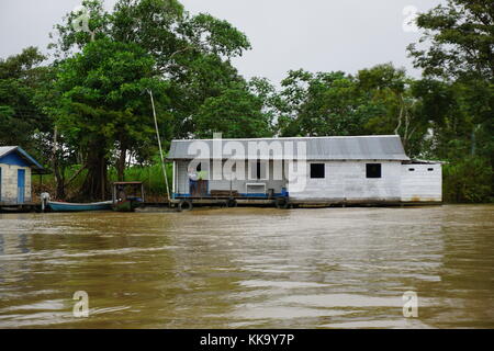 Traditional Amazon rainforest housing, floating house, Amazon river ...