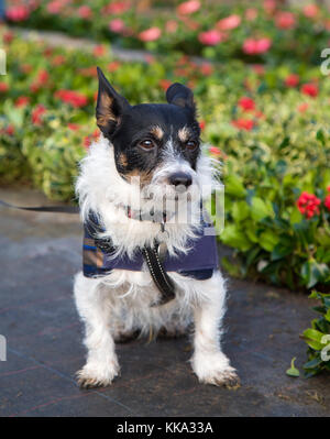 Winter Jacket in Winter Sale on a clothes rack Stock Photo - Alamy