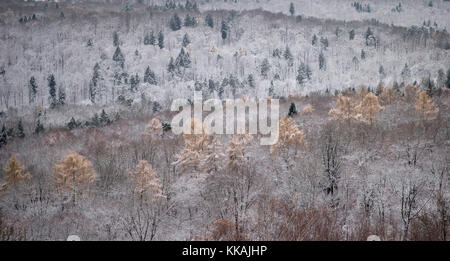 Stuttgart, Germany. 30th Nov, 2017. Snow lying on a spindle in ...