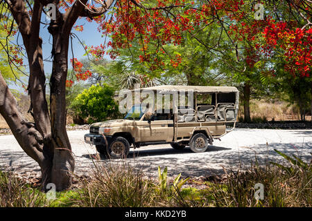 Safari Vehicle at Onguma Bush Camp, Onguma Game Reserve, Namibia ...