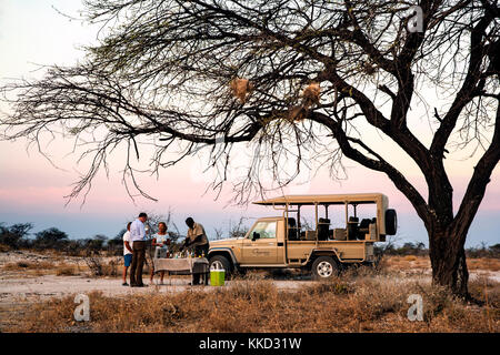 Sundowner Game Drive in Onguma Game Reserve, Namibia, Africa Stock ...