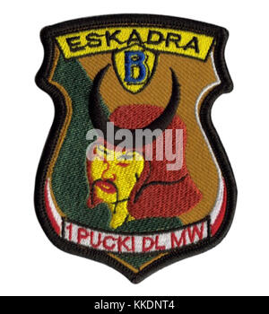 The 1st Pucki Aviation Squadron of the Polish Navy was a significant ...