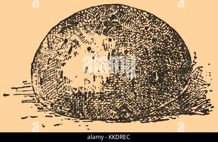 Brockhaus and Efron Encyclopedic Dictionary b27 167 4 Stock Photo - Alamy