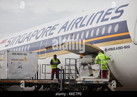 Singapore Airlines Airbus A350 loading freight cargo into the hold at ...