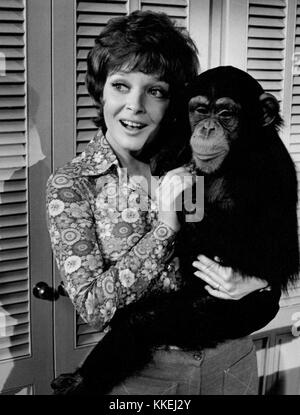 ME AND THE CHIMP, Anita Gillette, 1972 Stock Photo - Alamy