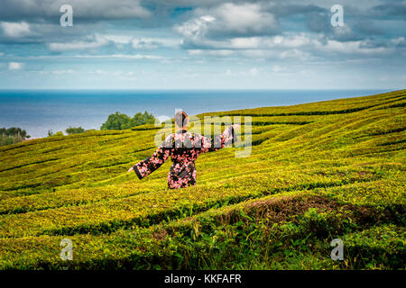 Beautiful Caucasian girl wearing Kimono at tea plantations in Sao ...