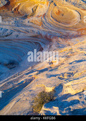 Rock detail at White Pocket, Paria Plateau, Vermilion Cliffs National ...
