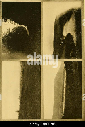"The Lanthorn 1917" (1916 Stock Photo - Alamy