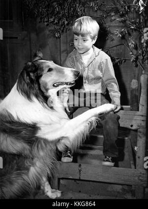 Jon Provost, known for his role as Timmy on the TV series Lassie, is ...