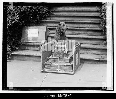 Laddie Boy, the first dog of President Warren G. Harding, became a ...