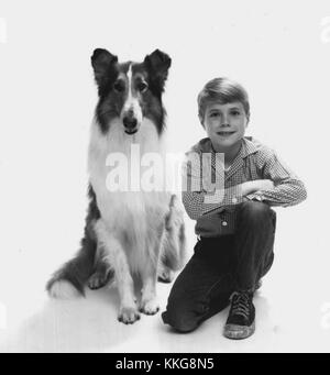 *Timmy and Lassie* was a popular American television show that aired in ...