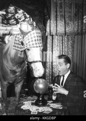 Alan Young & Mister Ed Television: Mister Ed (TV-Serie) Characters ...