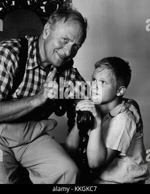 Brandon de Wilde was an American actor, best known for his role in the ...