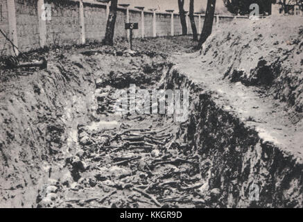 Soviet soldiers mass grave, German war prisoners concentration camp in ...