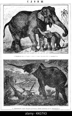 This entry from the Brockhaus Efron Encyclopedia features an ...